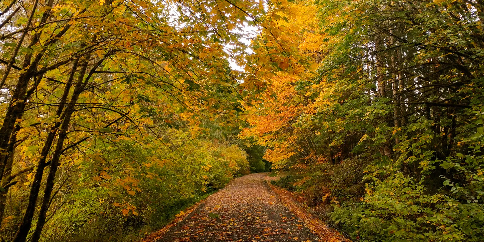 Willapa Hills Area - Discover Lewis County