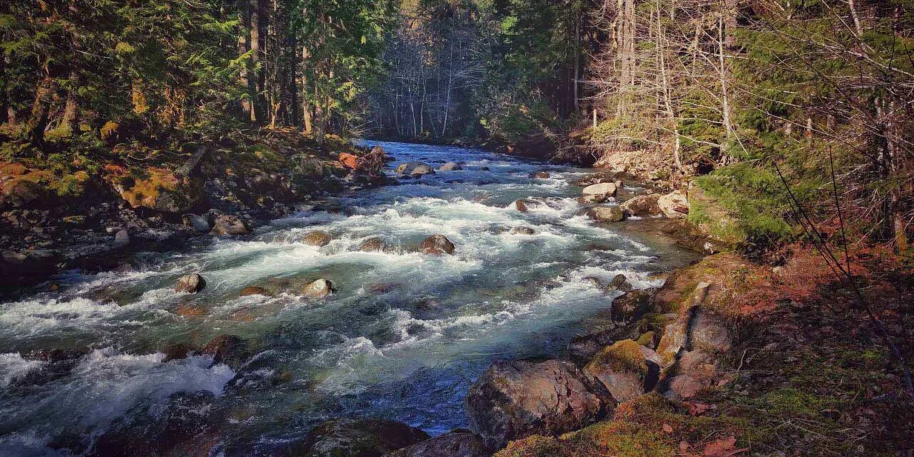 Home - Discover Lewis County