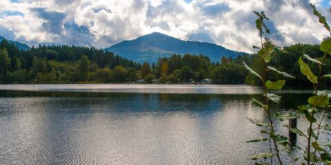 Home - Discover Lewis County