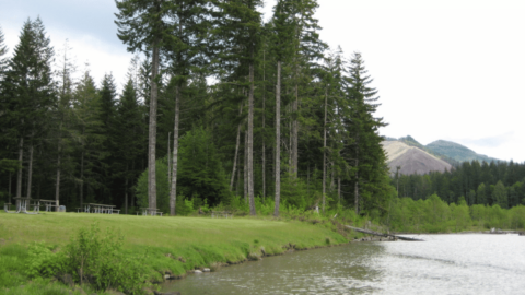Cowlitz Falls Park - Discover Lewis County