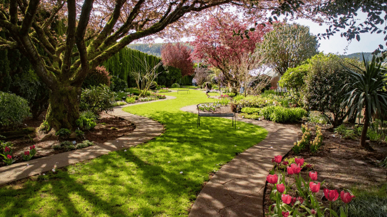 Farm Fresh Archives - Discover Lewis County