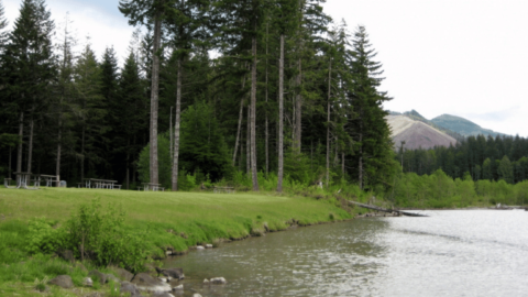 Home - Discover Lewis County