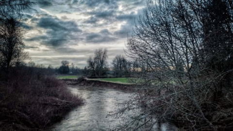 Chehalis River - Discover Lewis County