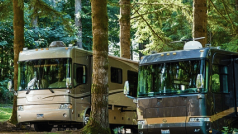 Paradise RV Park Thousand Trails - Discover Lewis County