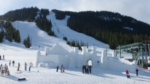 LC Spotlights - Discover Lewis County