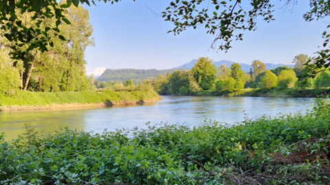 Cowlitz River Rentals - Discover Lewis County
